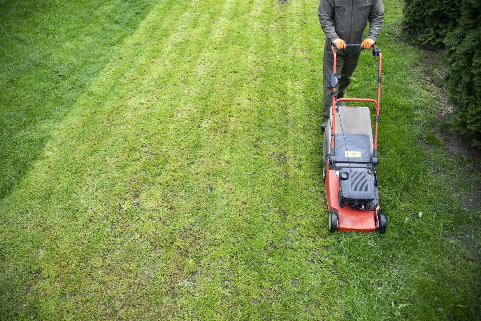 RJ's Lawncare Services